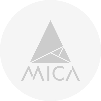 Fellow Programme in Management | MICA Program